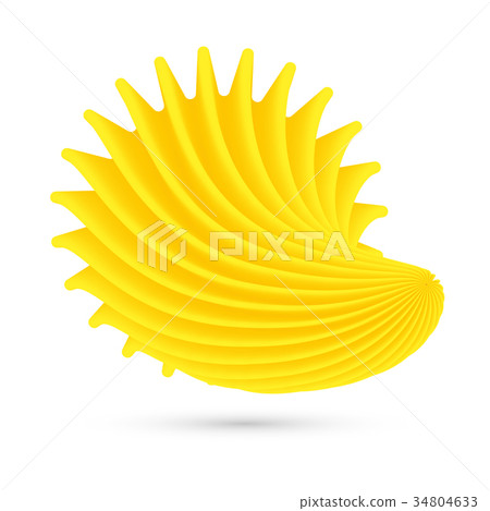 Yellow shell on white Vector - Stock Illustration [34804633] - PIXTA