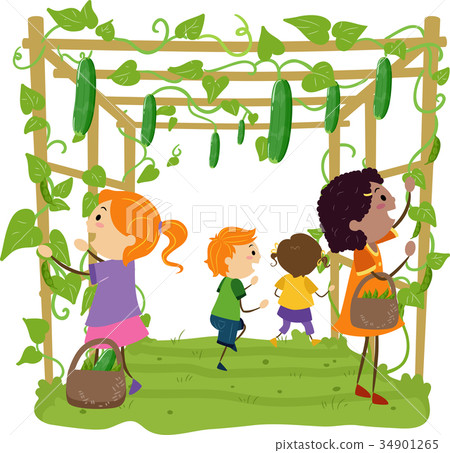 Stickman Kids Harvest Arbor Beans Illustration - Stock Illustration ...