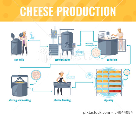 Cheese Production Cartoon Infographics - Stock Illustration [34944094 ...