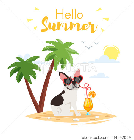 Hello summer bulldog - Stock Illustration [34992009] - PIXTA