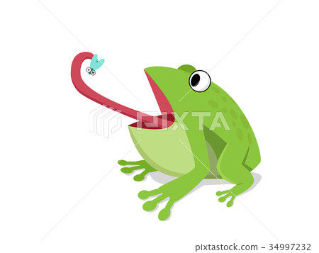 Green frog eat insect on white, cartoon vector - Stock Illustration ...