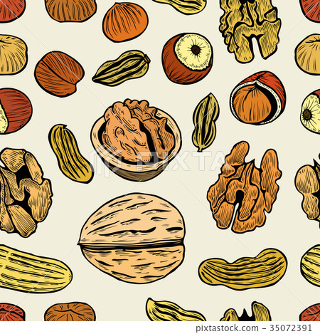 nuts vector hand drawn seamless pattern. - Stock Illustration [35072391 ...