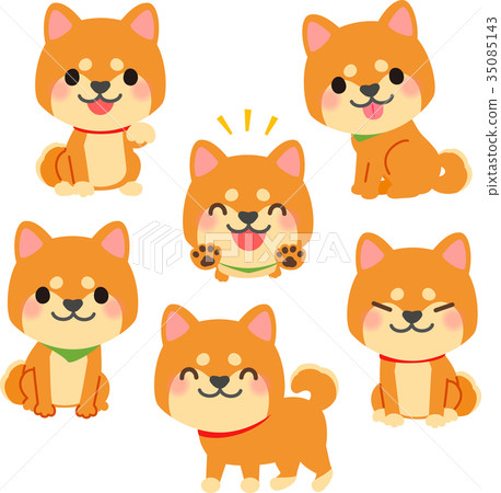 Set of various poses of Shiba Inu - Stock Illustration [35085143] - PIXTA