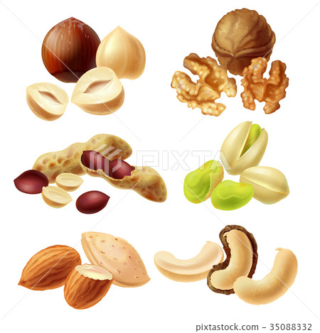 Different nuts realistic vector set - Stock Illustration [35088332] - PIXTA