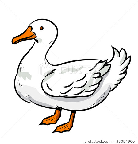 Illustration of Duck -Vector Illustration - Stock Illustration ...