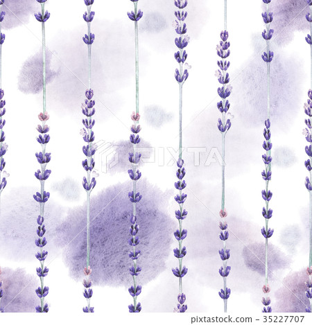 Watercolor lavender pattern - Stock Illustration [35227707] - PIXTA