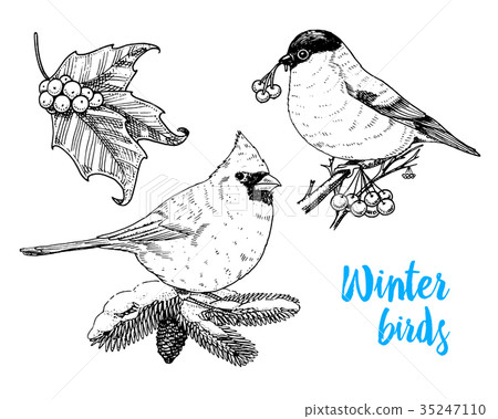 engraved hand drawn in old sketch and vintage - Stock Illustration ...