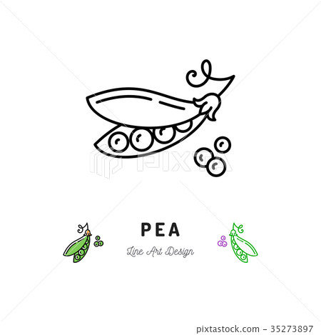 Vector Pea icon Vegetables logo, Peas in a pod - Stock Illustration ...