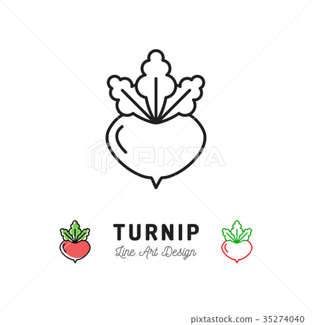 Turnip icon Vegetables logo. Thin line art design-插圖素材 [35274040] - PIXTA圖庫