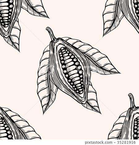 Seamless pattern of cocoa beans. - Stock Illustration [35281916] - PIXTA