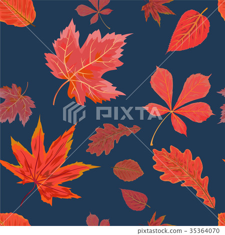 Vector Seamless Autumn patten background floral-插圖素材 [35364070] - PIXTA圖庫