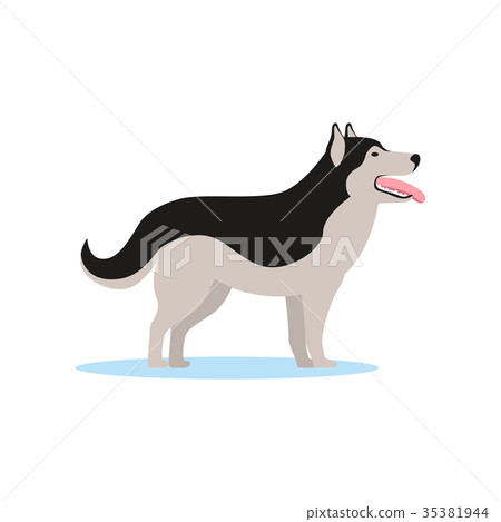 Siberian husky dog, side view vector Illustration - Stock Illustration ...