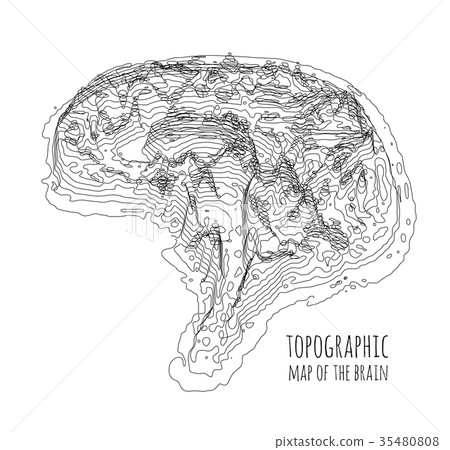 The brain in the form of a topographic map. The - Stock Illustration ...