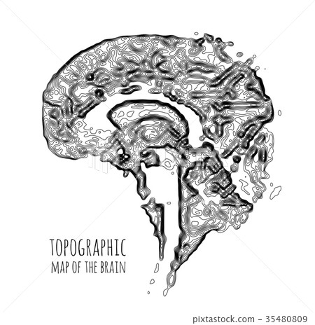 The brain in the form of a topographic map. The - Stock Illustration ...