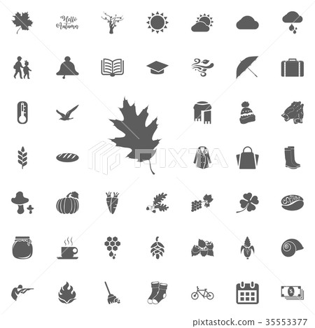 Vector flat maple leaf icon isolated on white. - Stock Illustration ...