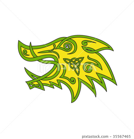 Boar Head Celtic Knot - Stock Illustration [35567465] - PIXTA