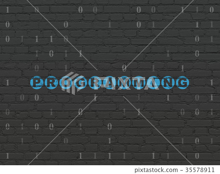 Database concept: Programming on wall background - Stock Illustration ...