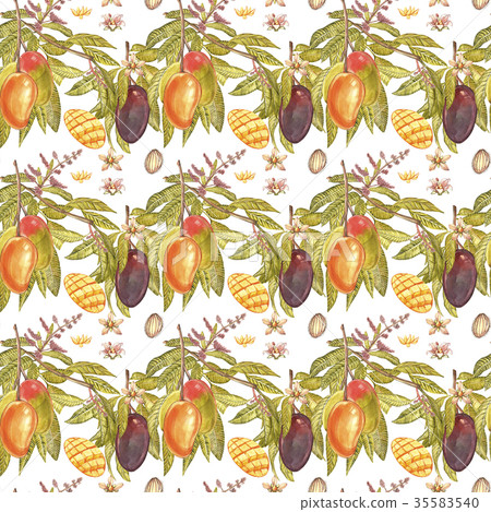 Mango tree vintage seamless pattern. Mango Fruit - Stock Illustration ...
