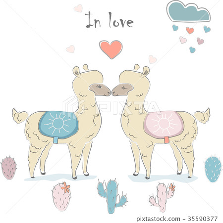 Cute Alpaca Couple - Stock Illustration [35590377] - PIXTA