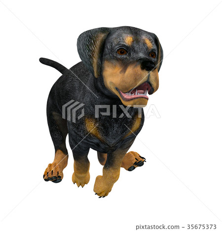dog - Stock Illustration [35675373] - PIXTA