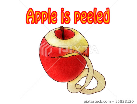 Peel an apple - Stock Illustration [35828120] - PIXTA