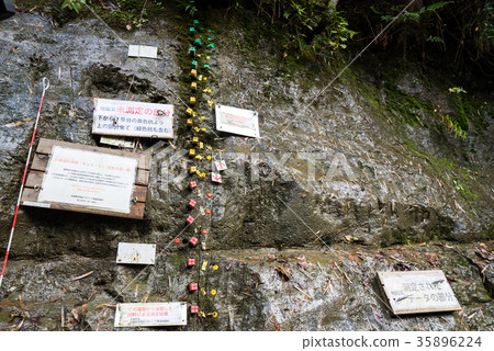 Chibanian (Chiba Prefecture Ichihara Ichiban)... - Stock Photo ...