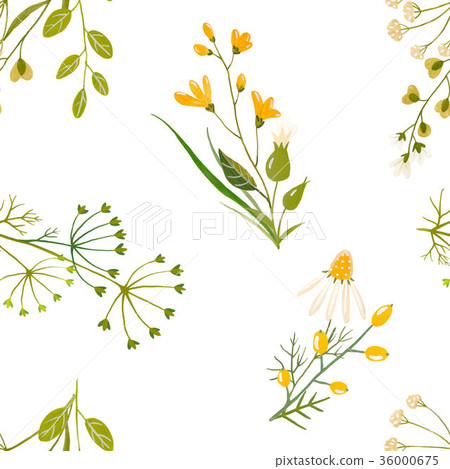 Watercolor floral pattern-插圖素材 [36000675] - PIXTA圖庫