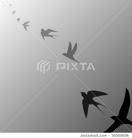 flying birds flying into the distance - Stock Illustration [36000696 ...