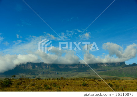 Roraima, Guiana Highlands, Venezuela (Roraima,... - Stock Photo ...