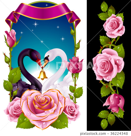 Swans and pink Roses - Stock Illustration [36224348] - PIXTA