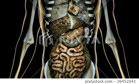 Sick Internal Organs Human Body Anatomical Conc - Stock Illustration ...