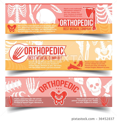 Orthopedic banners with x-ray human bones - Stock Illustration ...