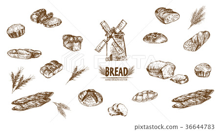 Digital vector detailed line art baked bread - Stock Illustration ...