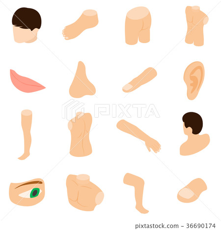 Body parts icons set, isometric 3d style - Stock Illustration [36690174 ...
