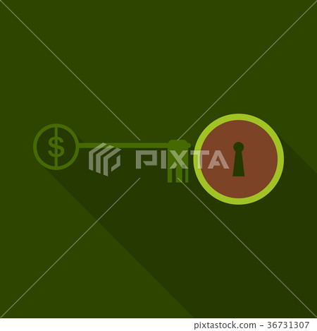 Lock with key flat vector icon. Sign dollar on key - Stock Illustration ...
