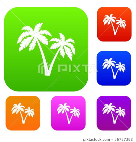 Two palms set collection - Stock Illustration [36757398] - PIXTA