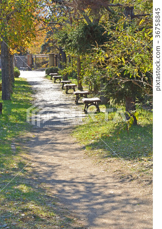 Minuma Nada: Minuma Green Road - Stock Photo [36758845] - PIXTA