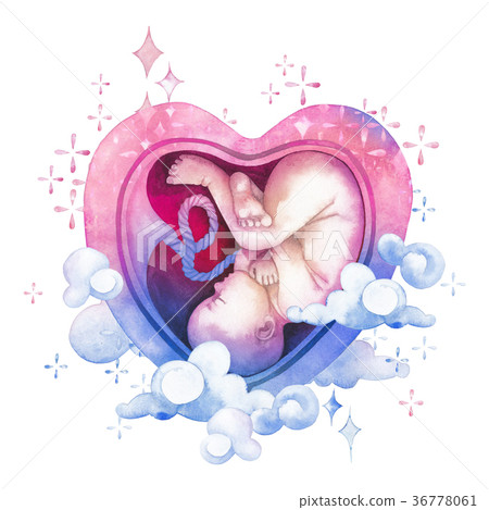 Watercolor embryo inside the heart shaped womb - Stock Illustration ...