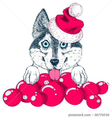 Lucky husky dog in Santa's hat sticks out its - Stock Illustration ...