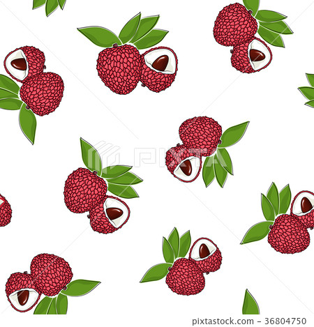 Seamless Pattern of Lichee - Stock Illustration [36804750] - PIXTA