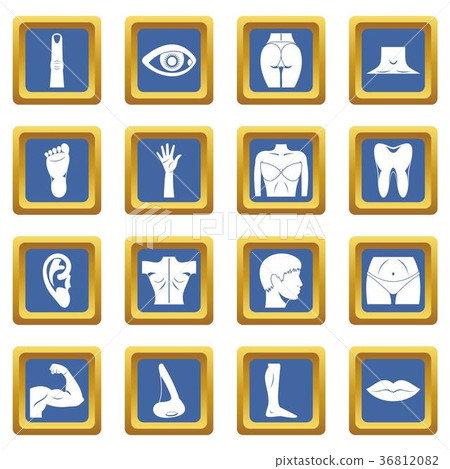 Body parts icons set blue - Stock Illustration [36812082] - PIXTA