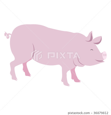 Pink Pig Vector Illustration Isolated on White - Stock Illustration ...
