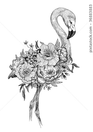 flamingo illustration vector