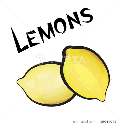 Lemon sign. Lemon fruit tag. Farm product label - Stock Illustration ...