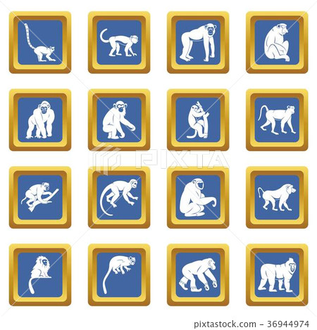Monkey types icons set blue - Stock Illustration [36944974] - PIXTA