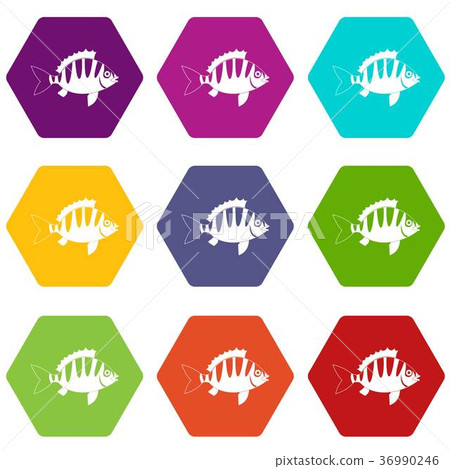 Perch icon set color hexahedron - Stock Illustration [36990246] - PIXTA