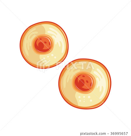 Colored icon of human cell in round shape with - Stock Illustration ...