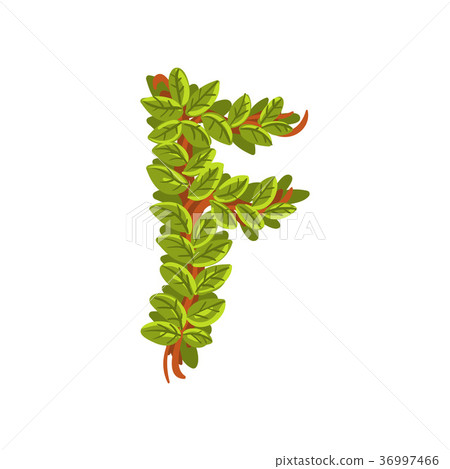 Letter F, English alphabet made of tree branches - Stock Illustration ...