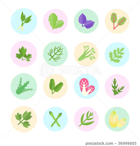 Set Vector Flat Icons of Greenery - Stock Illustration [36999885] - PIXTA
