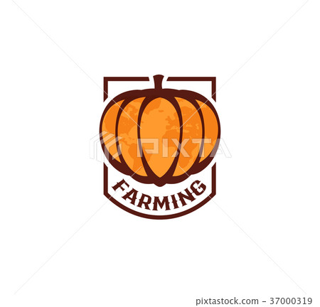 Isolated abstract orange color round shape pumpkin - Stock Illustration ...